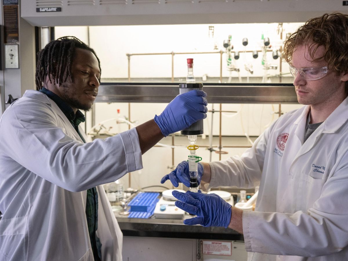 Doctor of Pharmacy (PharmD)—Direct Entry | MCPHS