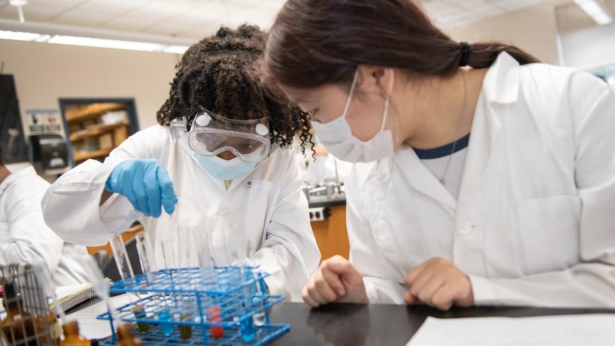 Undergraduate Applicants | MCPHS Admission