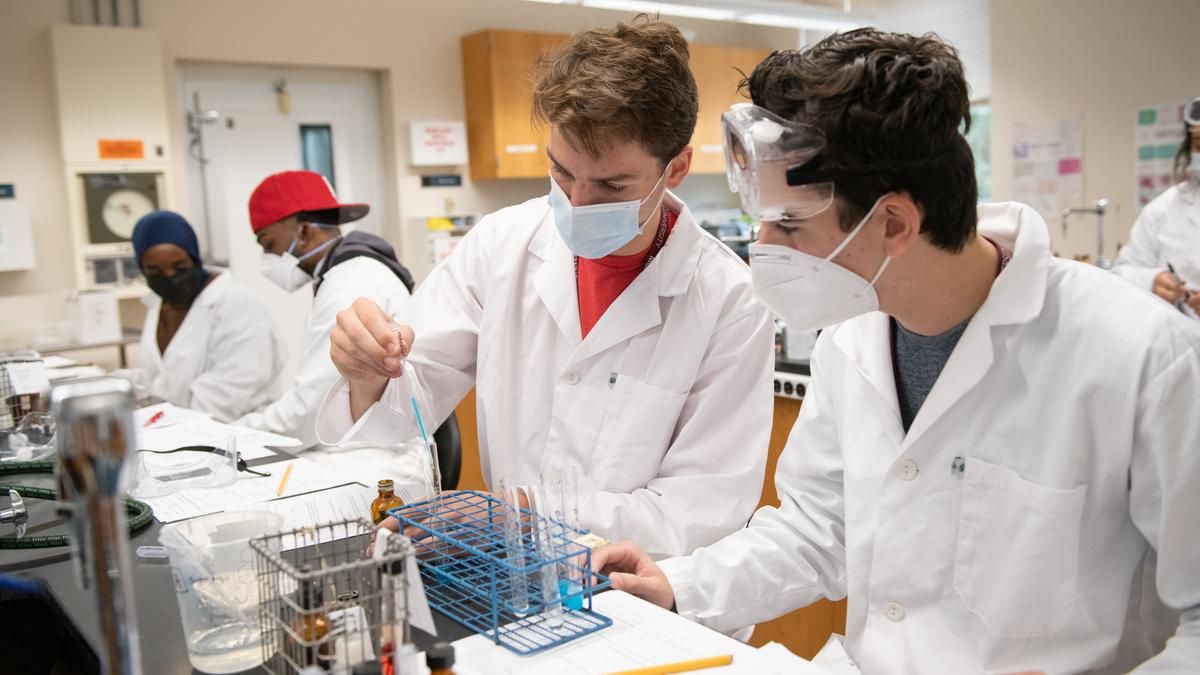 Doctor of Philosophy in Pharmaceutics | MCPHS