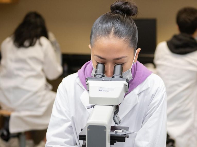 Why Choose Nursing as a Career: Exploring the Benefits and Rewards | MCPHS